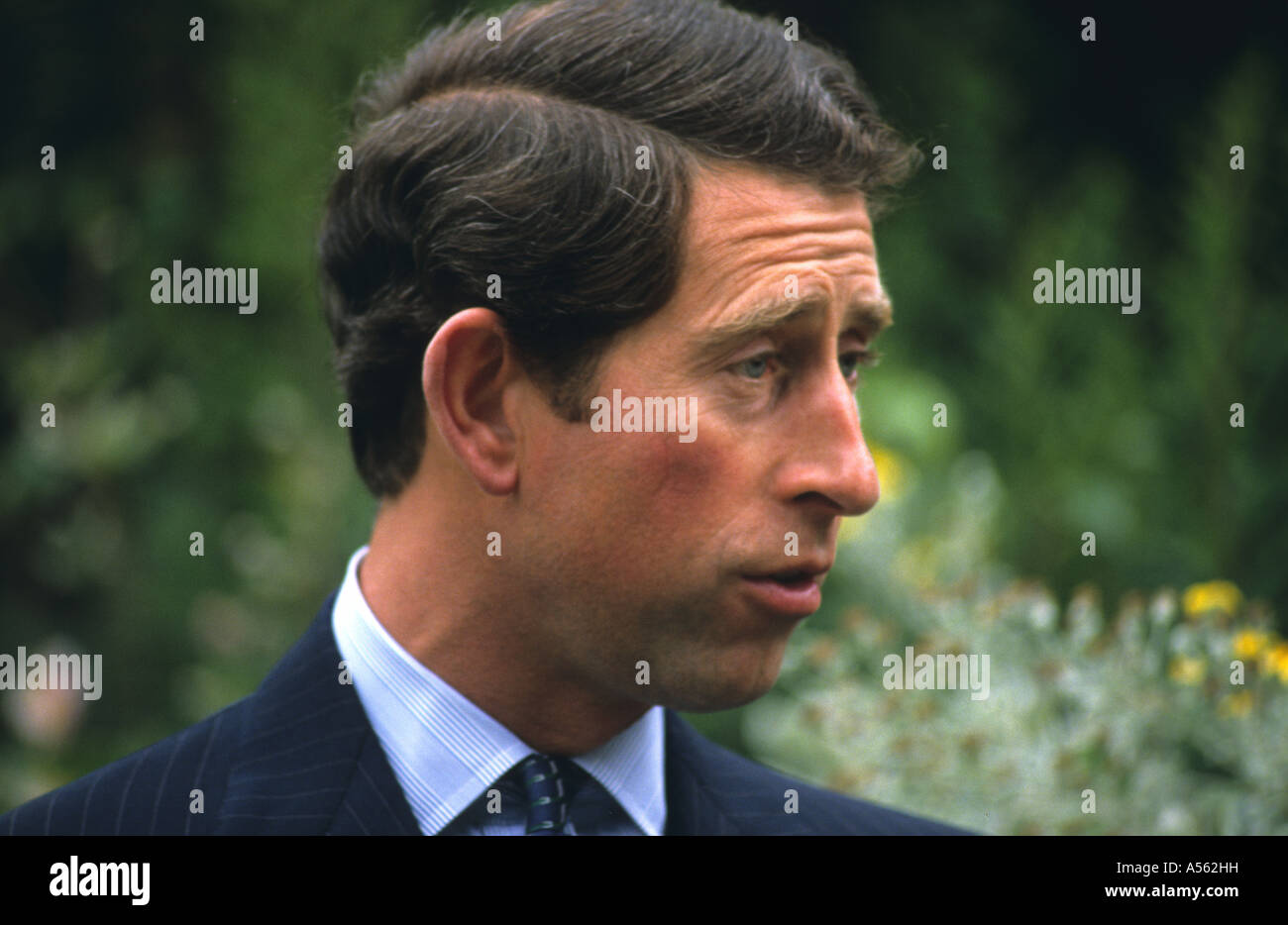 Charles-Prince of Wales Stock Photo - Alamy