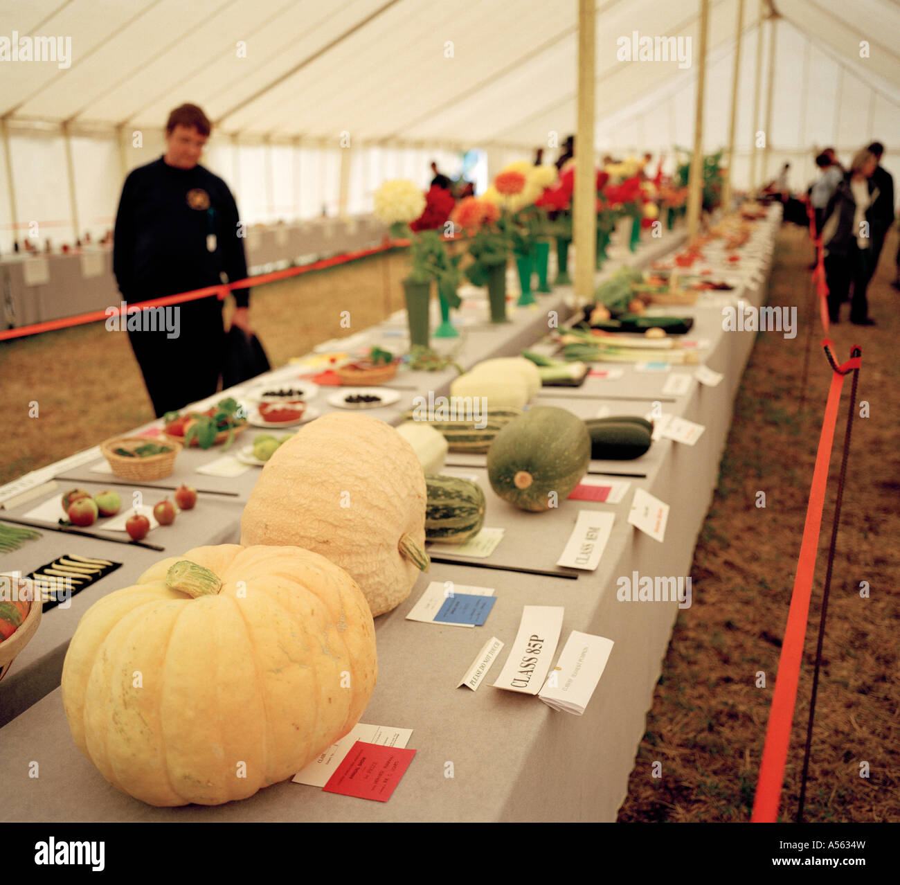 Vegetable growing competition hi-res stock photography and images - Alamy