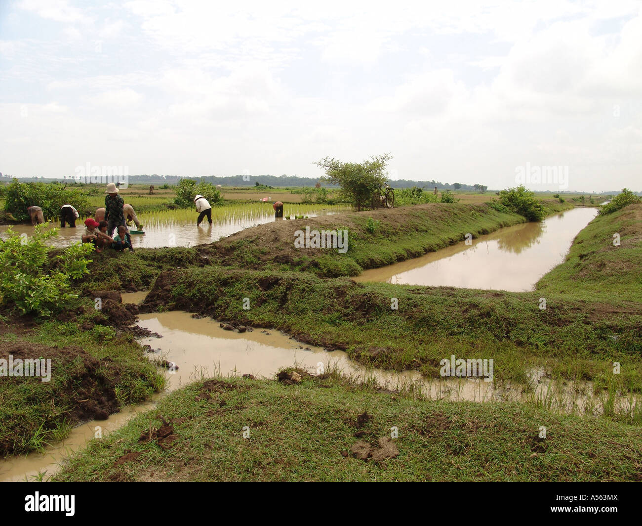 Irrigation ditches hi-res stock photography and images - Alamy