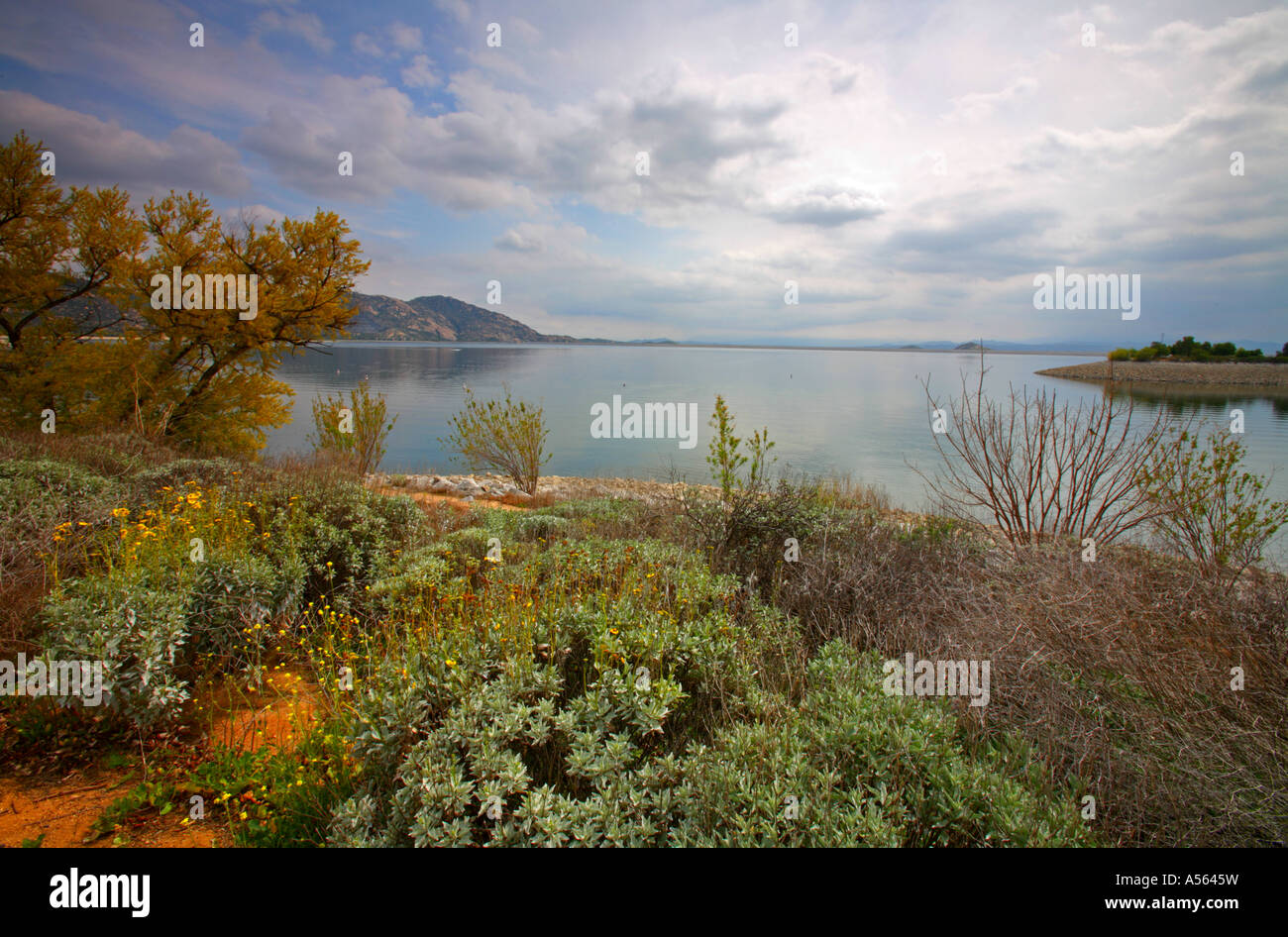 Riverside habitat hi-res stock photography and images - Alamy