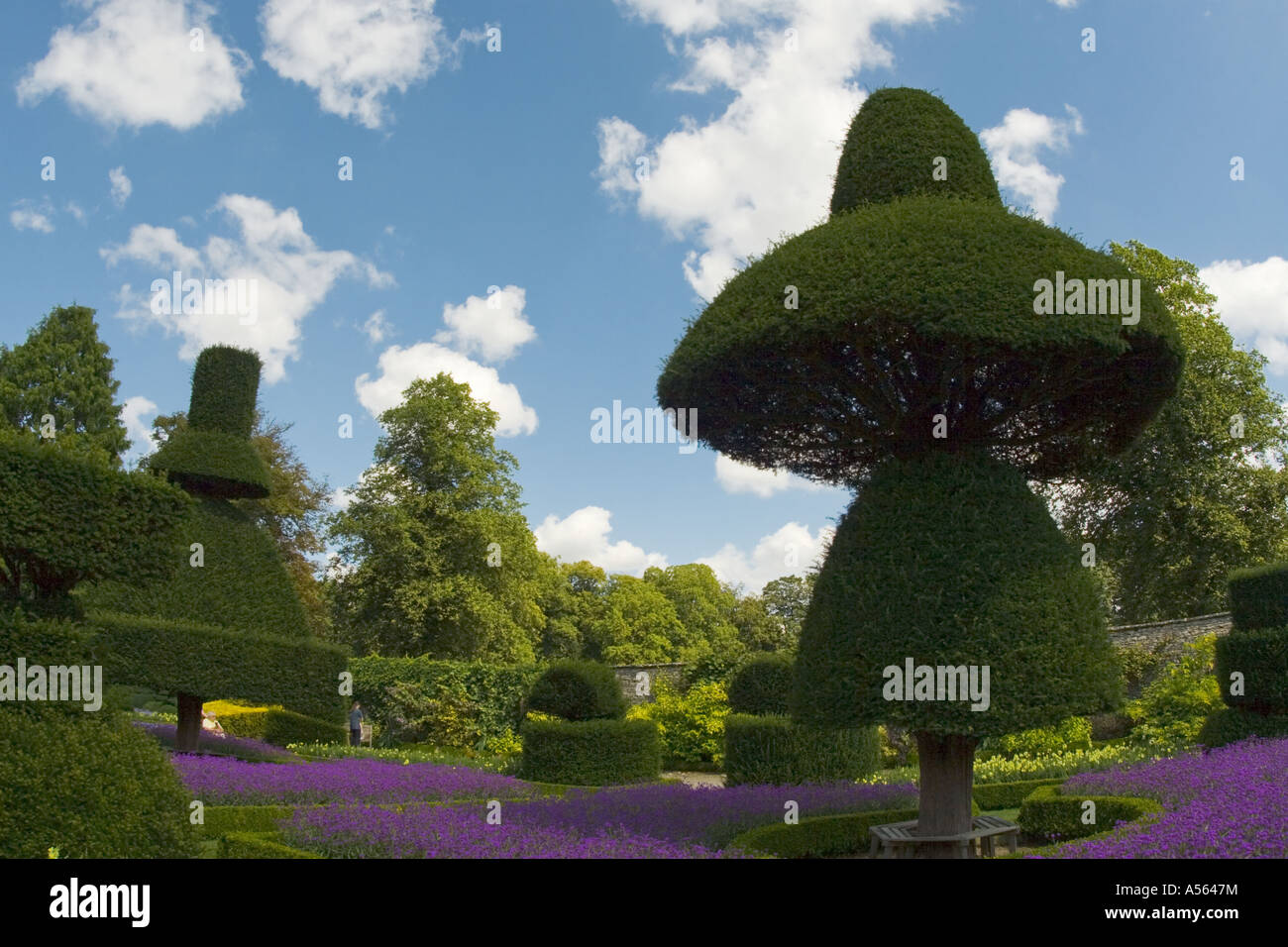 World famous Topiary Gardens at Levens hall English Lake District Stock ...