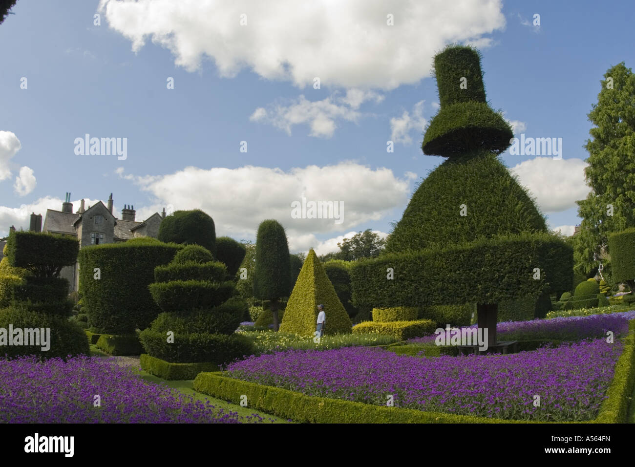 Levens hall topiary hi-res stock photography and images - Alamy