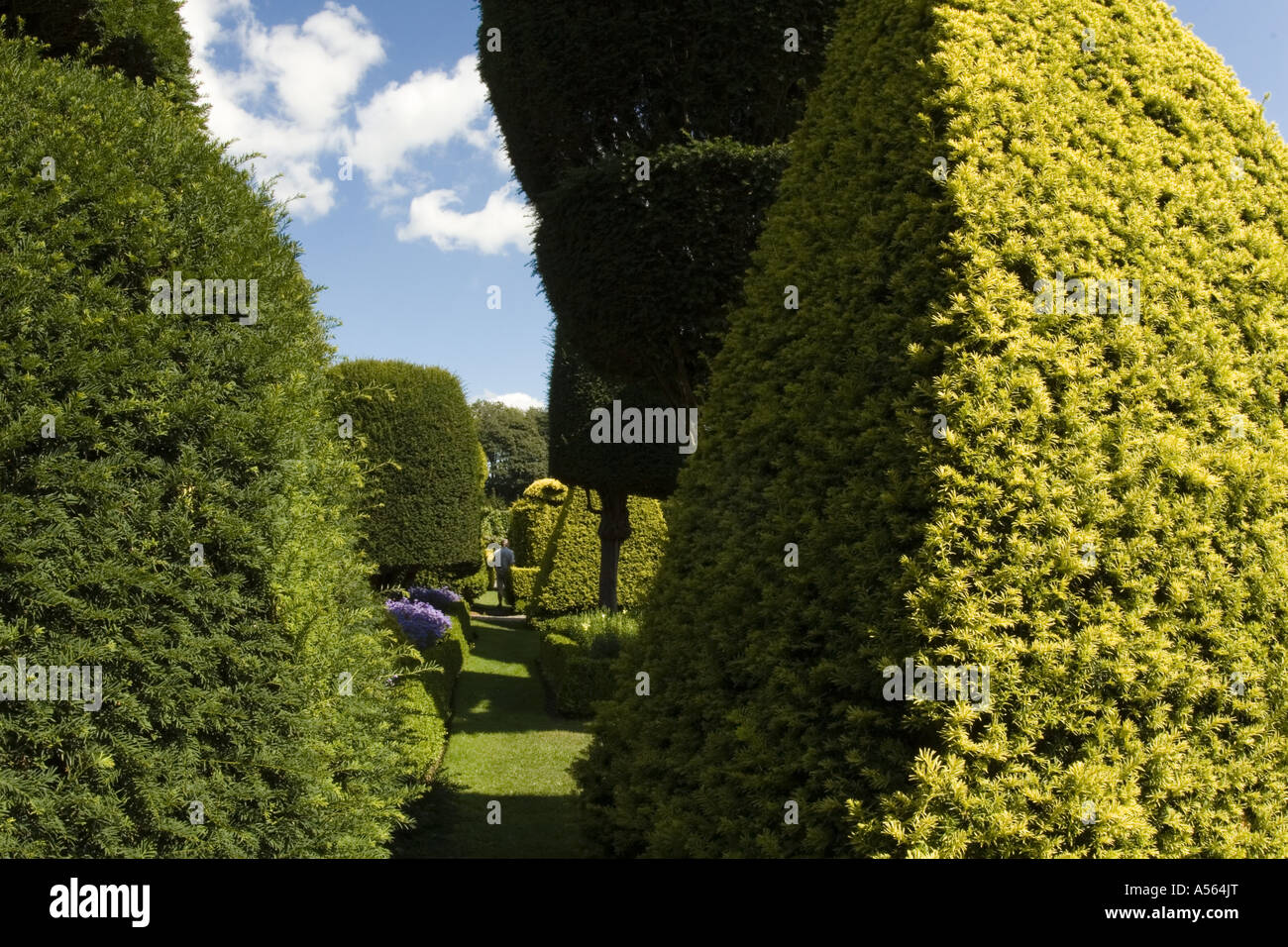 Levens Hall Topiary Garden Lake District UK England Stock Photo - Alamy