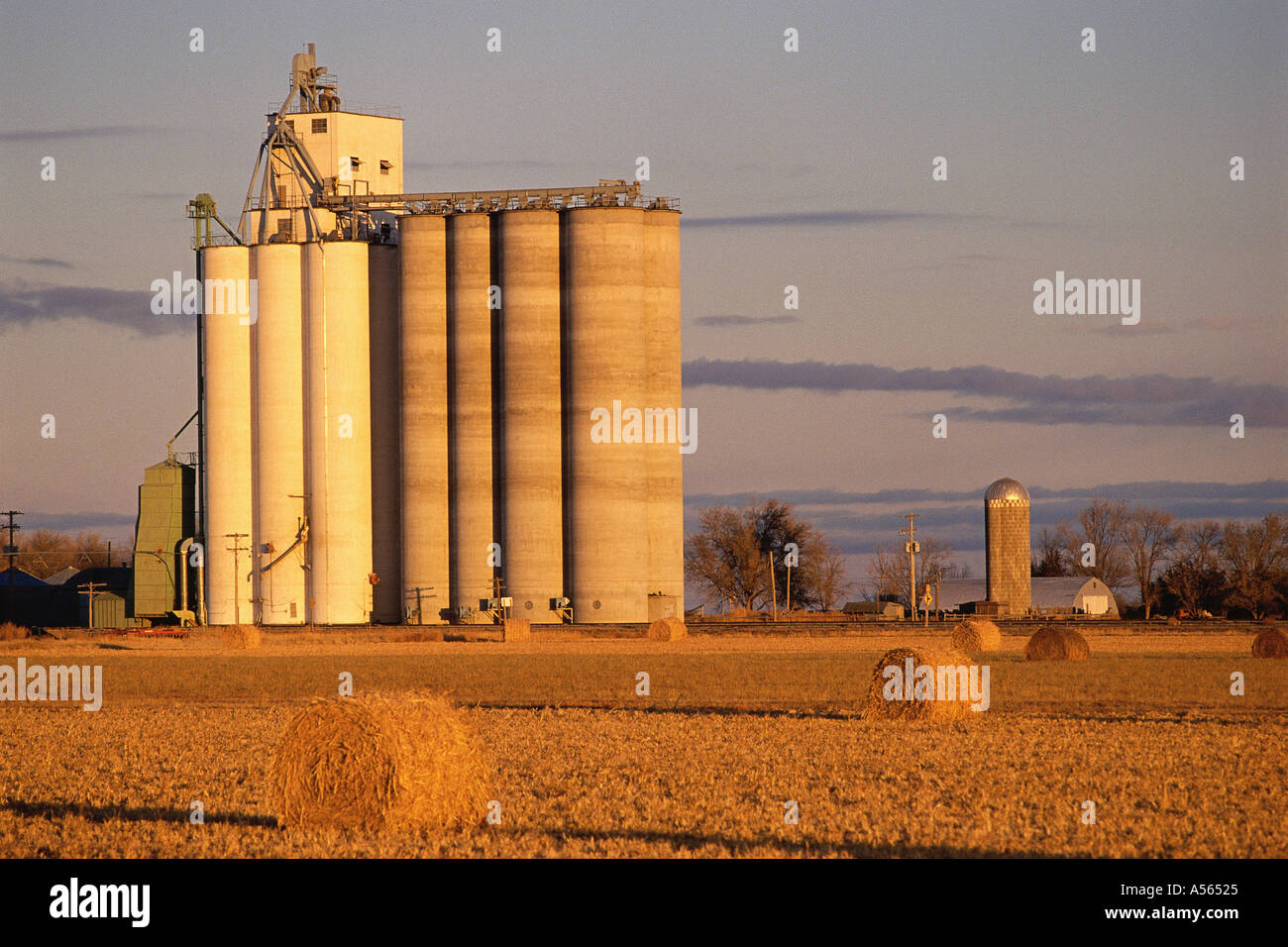 Hay elevator hi-res stock photography and images - Alamy