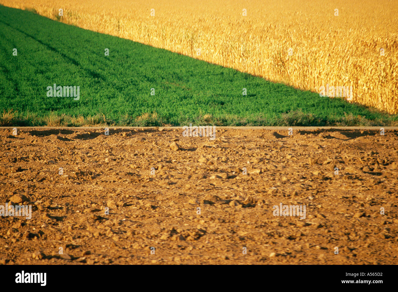 Three fields hi-res stock photography and images - Alamy