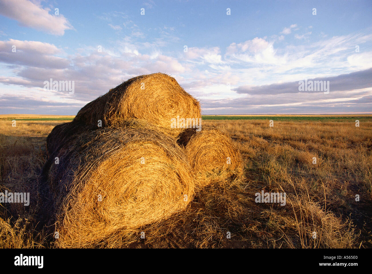 Hay bale stack hi-res stock photography and images - Alamy