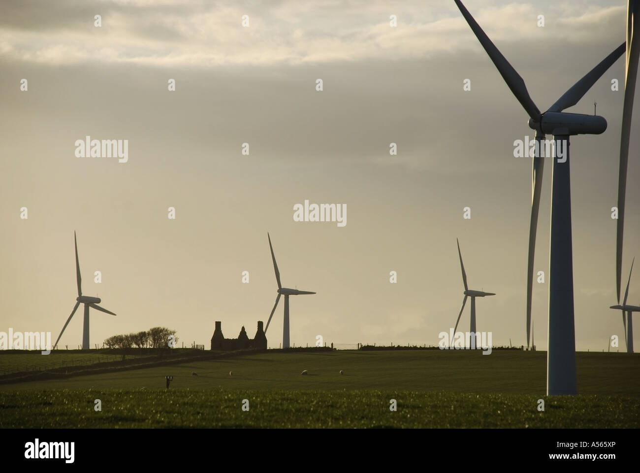 Wind turbine generator Anglesey Stock Photo - Alamy