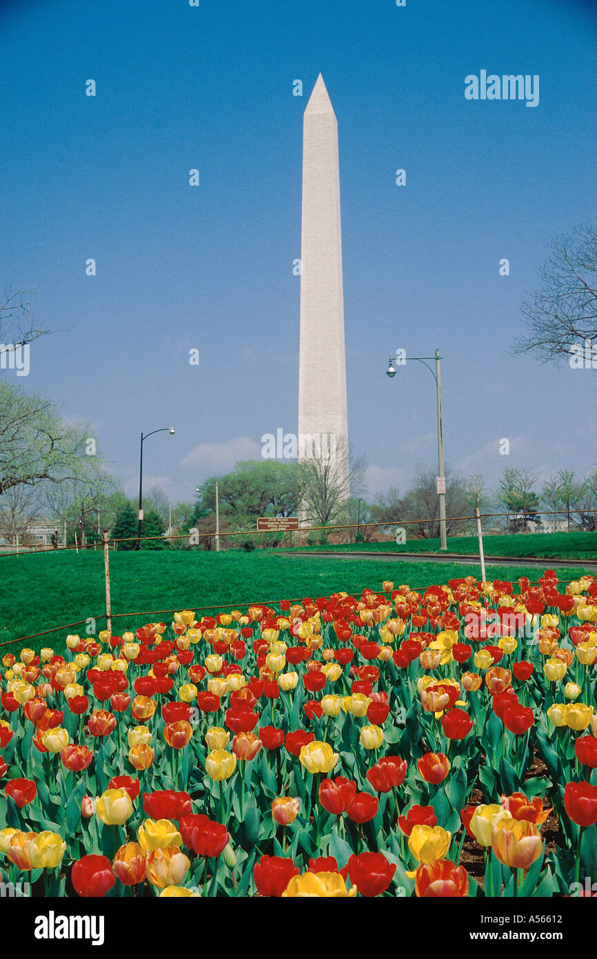 Flower bed in front of Washington Monument Stock Photo - Alamy