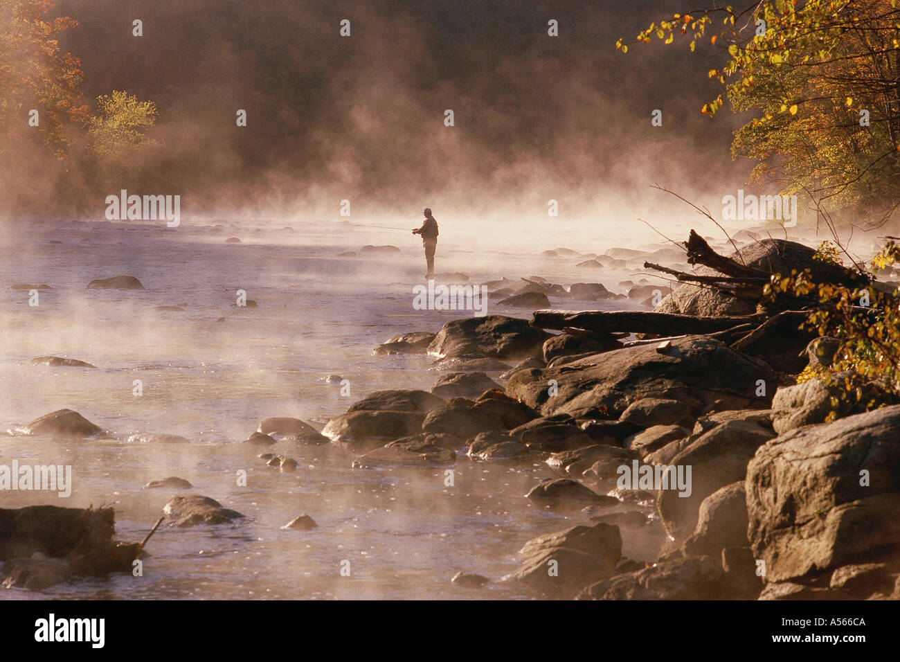 Man fishing in stream Stock Photo - Alamy