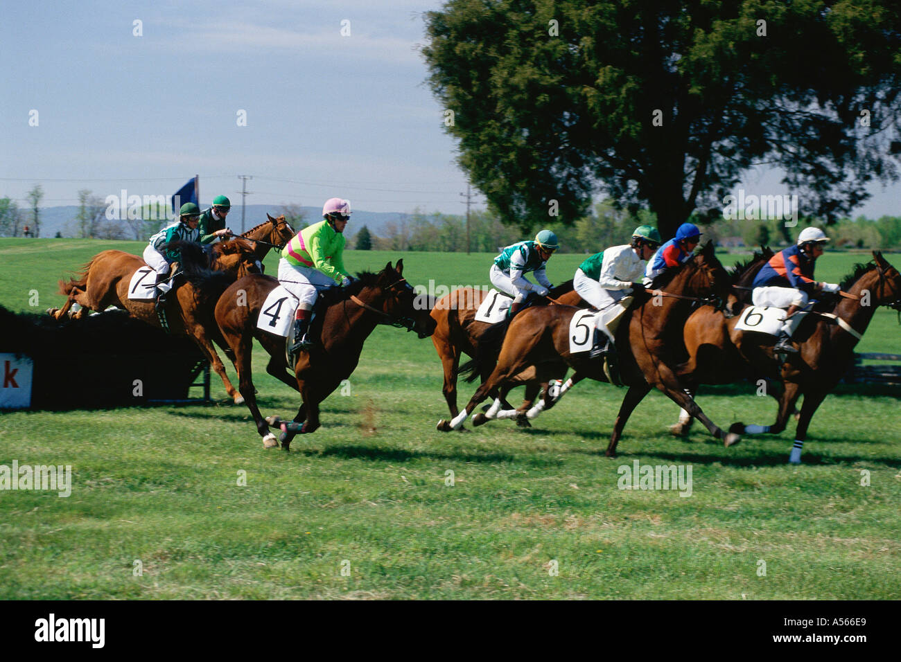 American polo team hi-res stock photography and images - Alamy