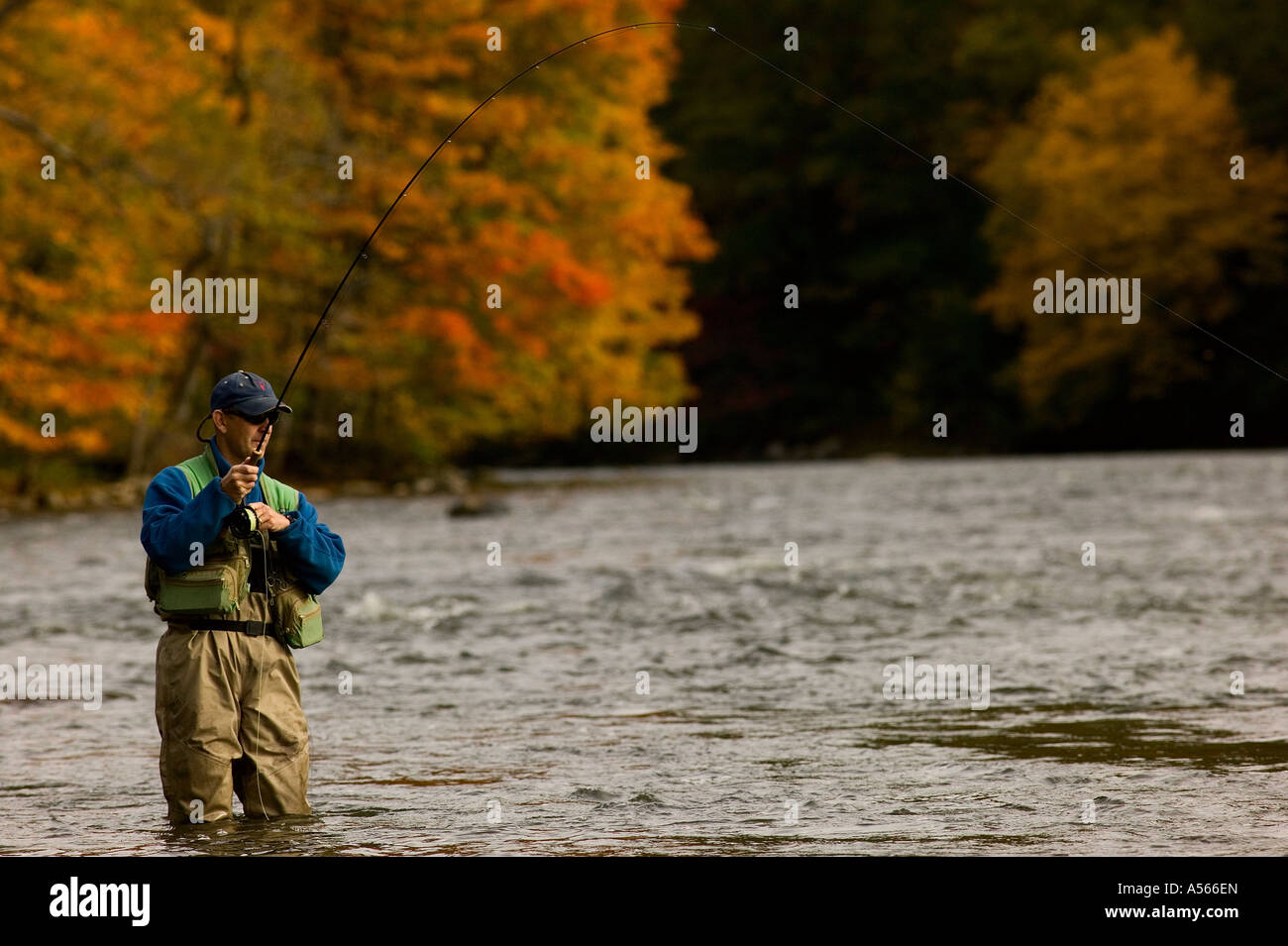 Fall Landing (V Stock Photo - Alamy