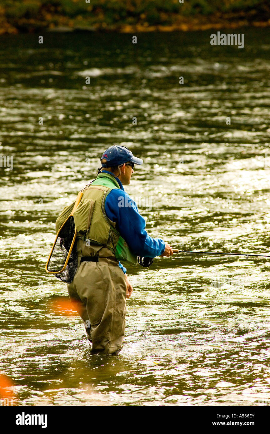 Trout Fishing River Reflections Stock Photo - Alamy