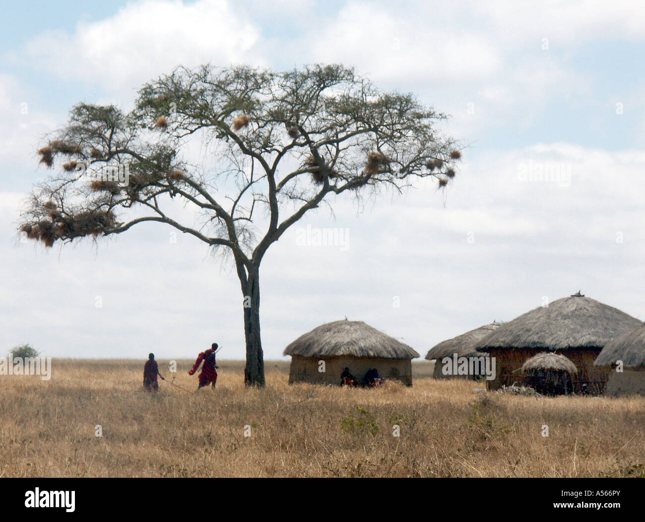 Tanzania arusha masai market hi-res stock photography and images - Alamy