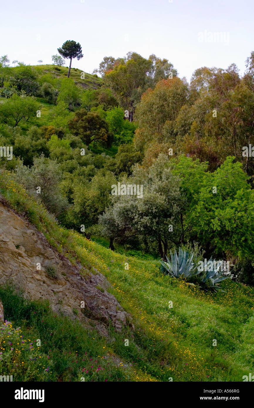 Benarraba hi-res stock photography and images - Alamy