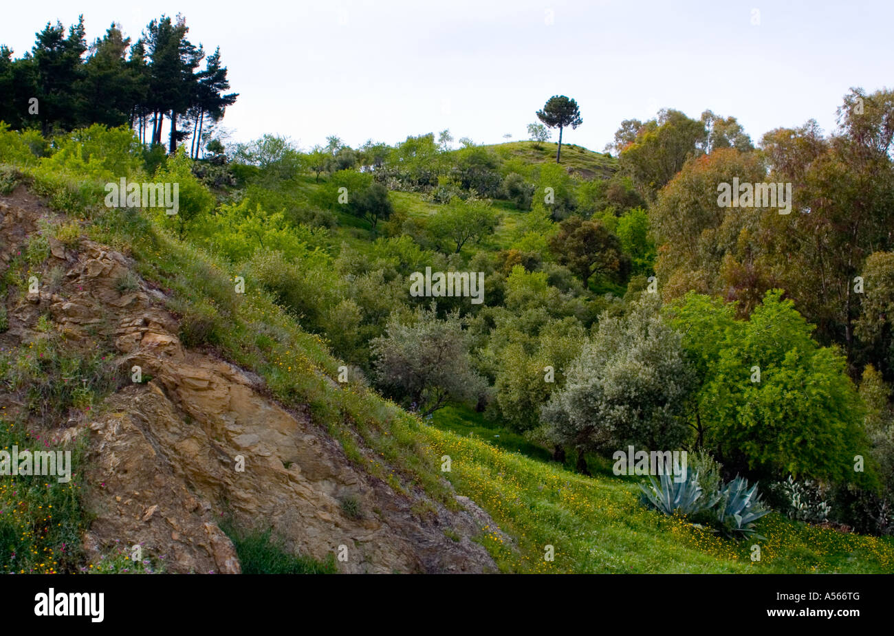 Benarraba hi-res stock photography and images - Alamy