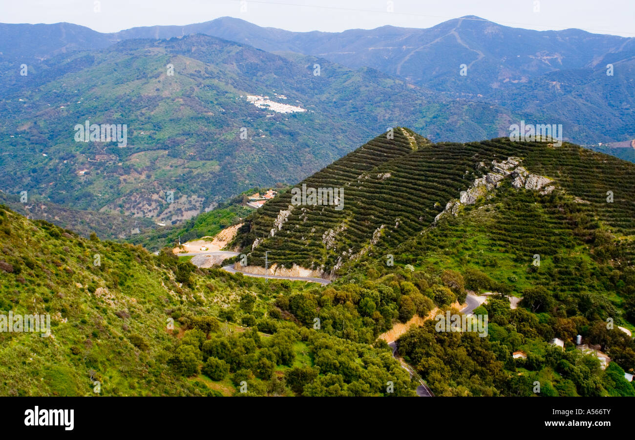 Spain spain benarraba hi-res stock photography and images - Alamy