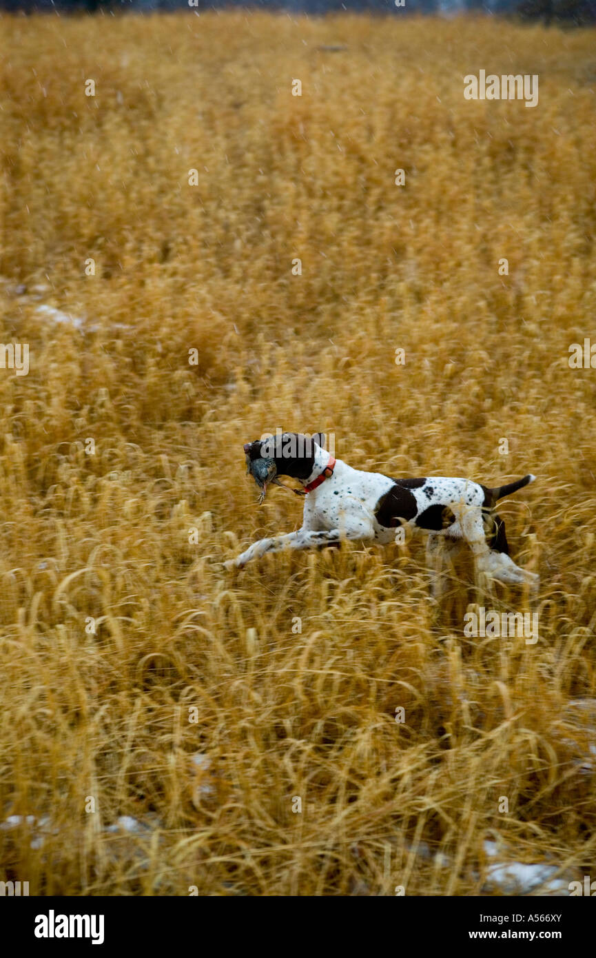 Retrieve hi-res stock photography and images - Alamy