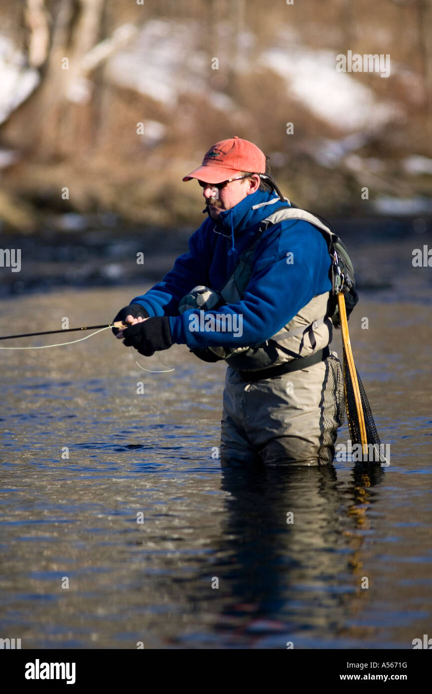 Numb Fish High Resolution Stock Photography and Images - Alamy