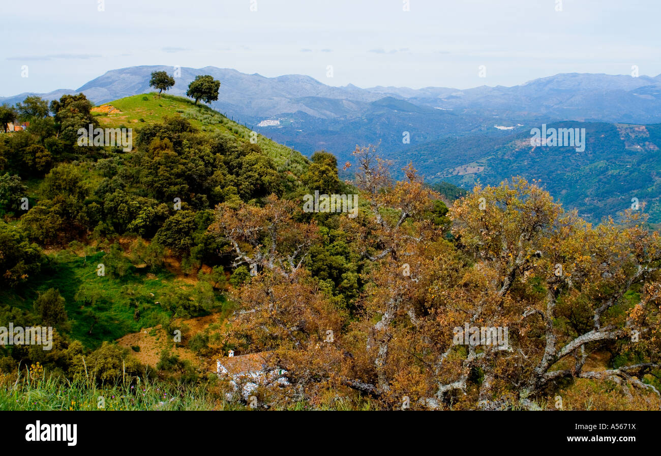 Spain spain benarraba hi-res stock photography and images - Alamy