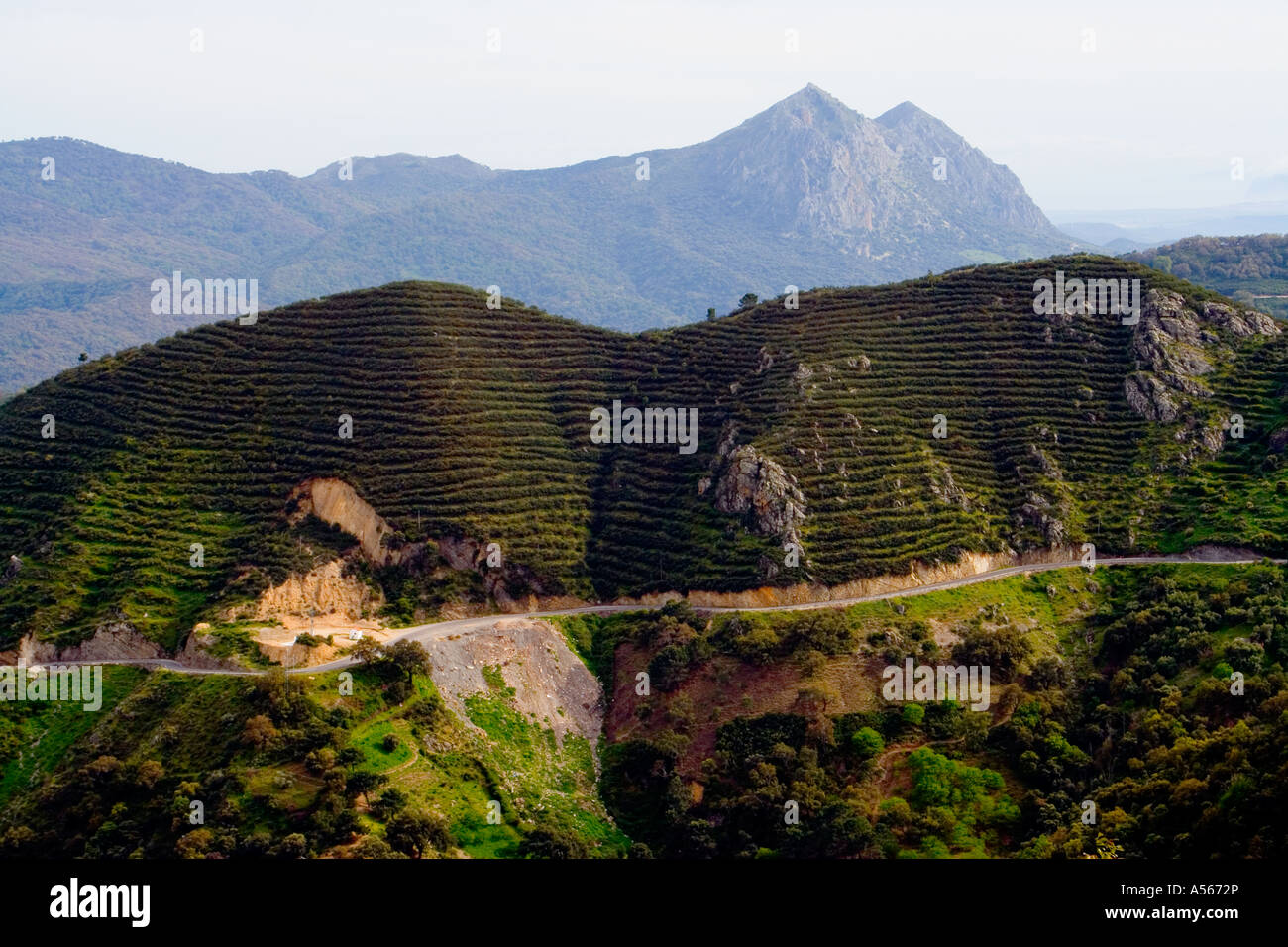 Spain spain benarraba hi-res stock photography and images - Alamy