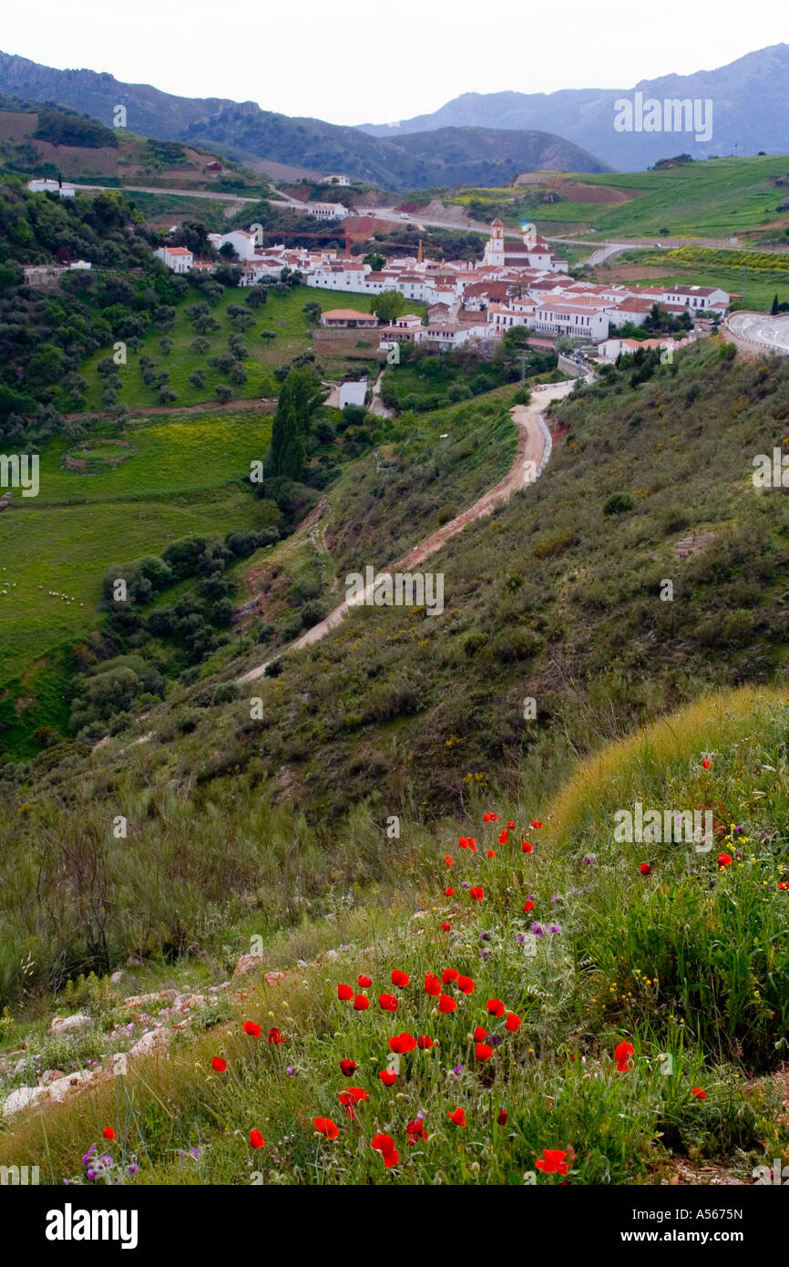Spanish village Atajate Serrania de Ronda Andalucia april 2006 Stock ...
