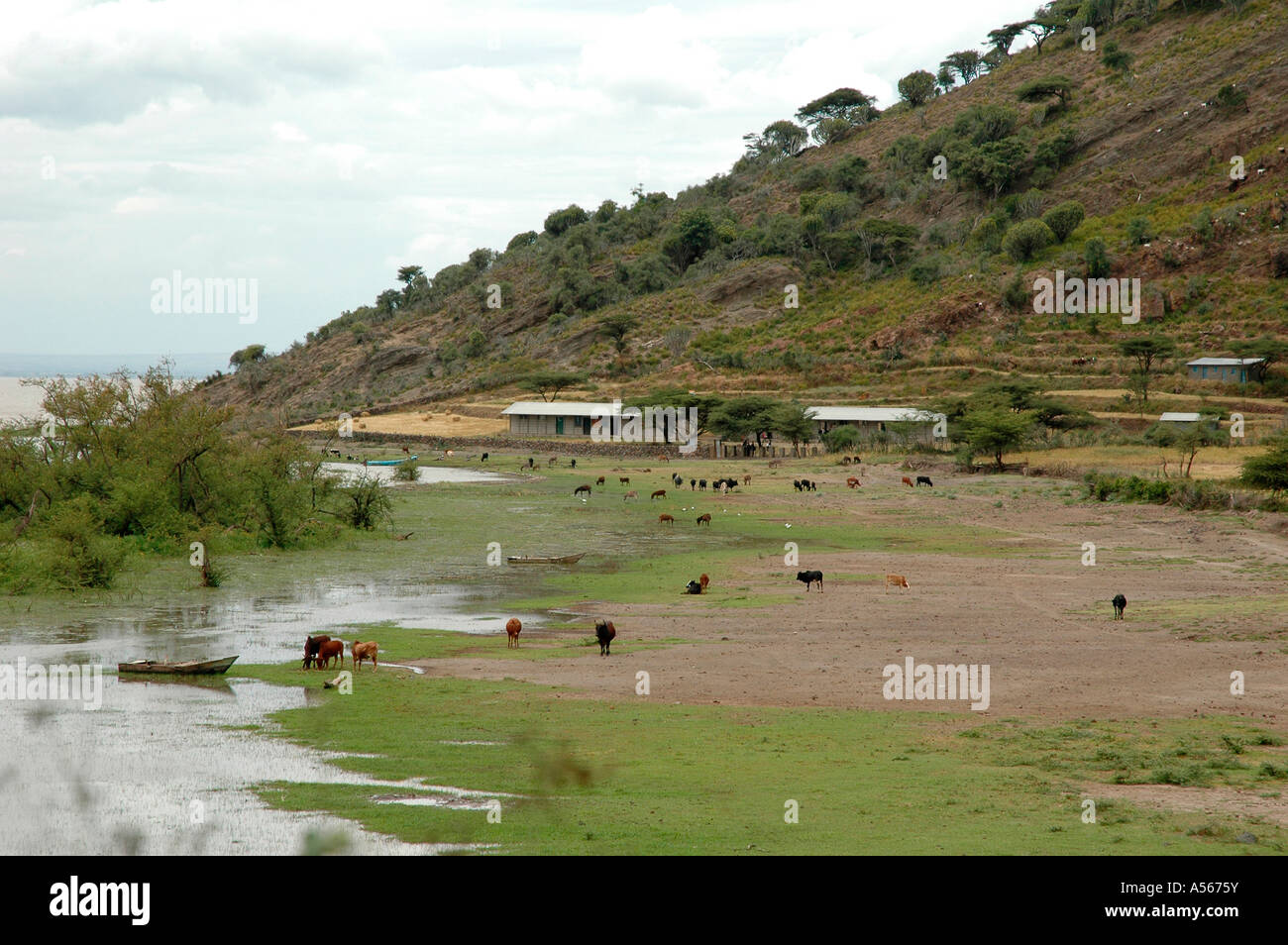 Painet iy7694 ethiopia tullo gudo island monastery debre zion lake ...
