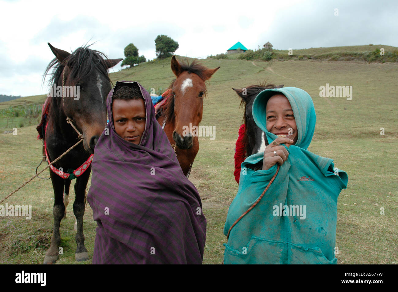 Painet iy7710 ethiopia wenchi lake extinct volcanic crater ambo horses ...