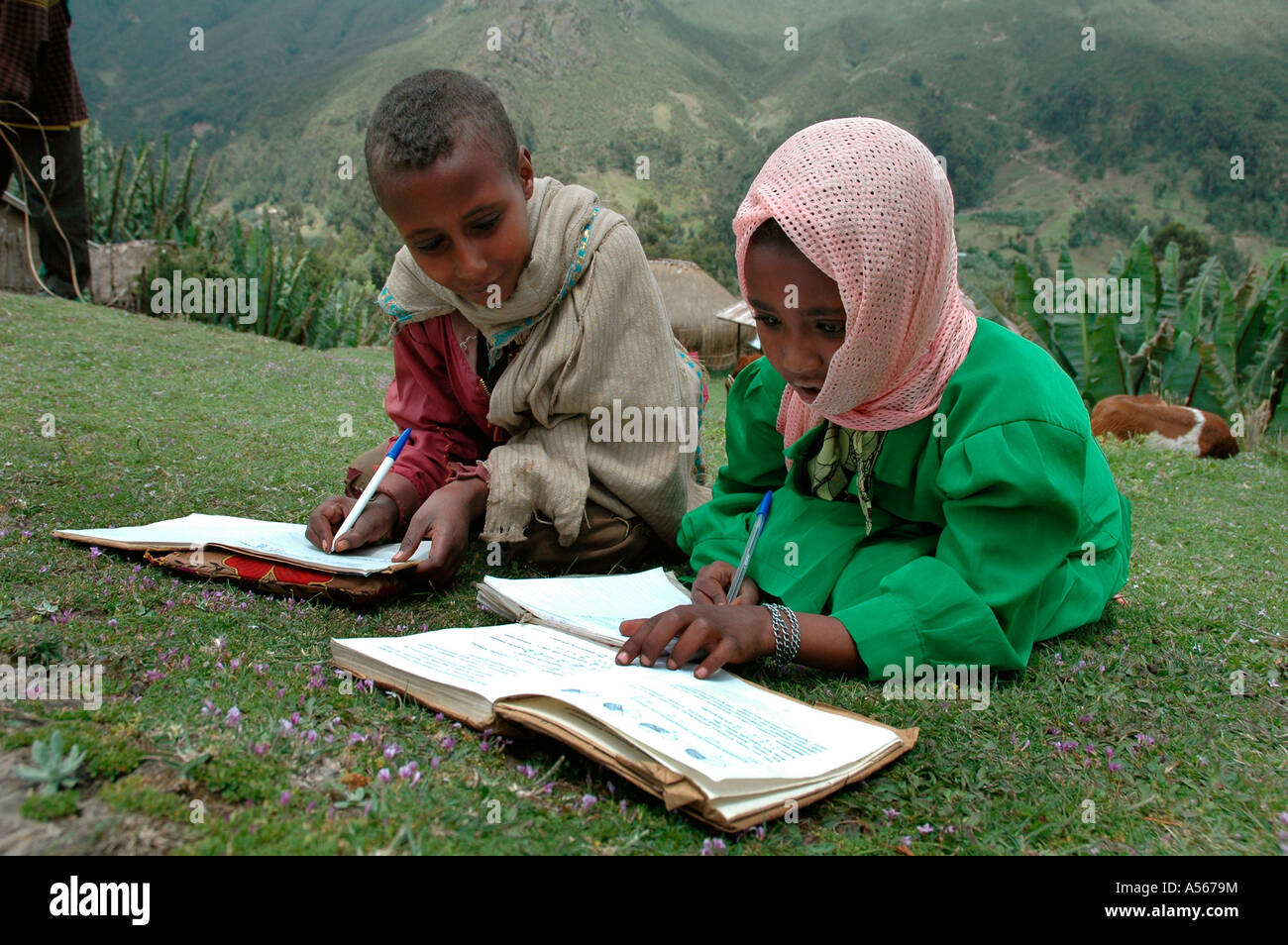 Painet iy7723 ethiopia wenchi lake extinct volcanic crater ambo ...