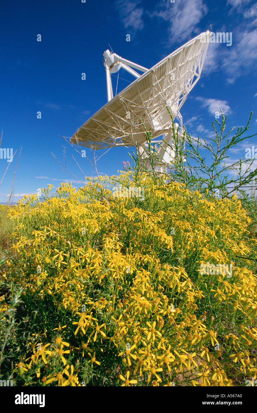 Array of flowers hi-res stock photography and images - Alamy