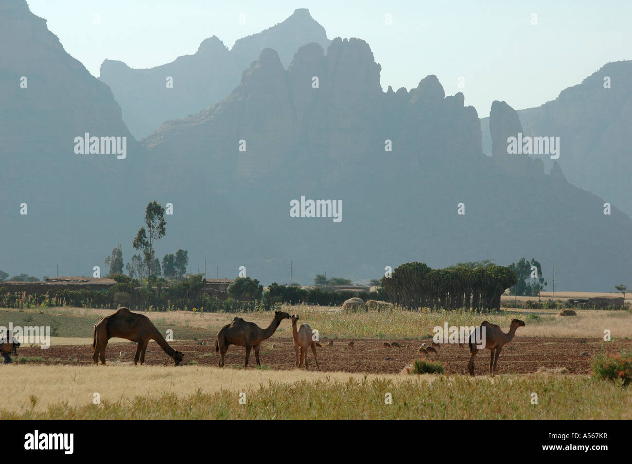 Painet iy7835 ethiopia landscape mountains village ghiraltar tigray ...