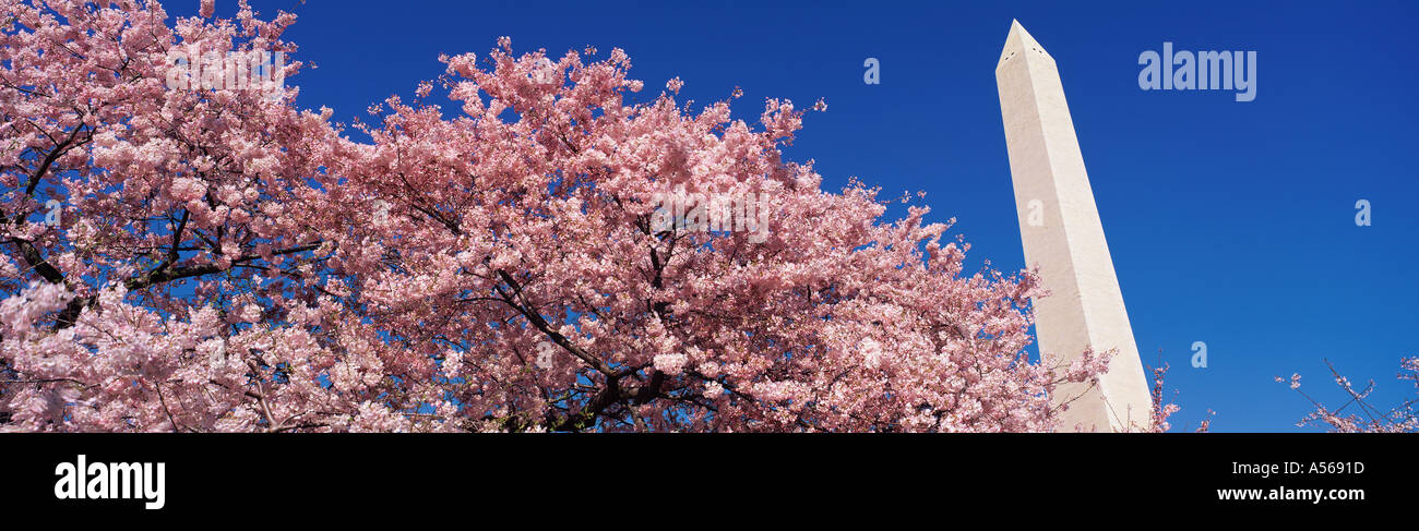 Washington monument photography hi-res stock photography and images - Alamy
