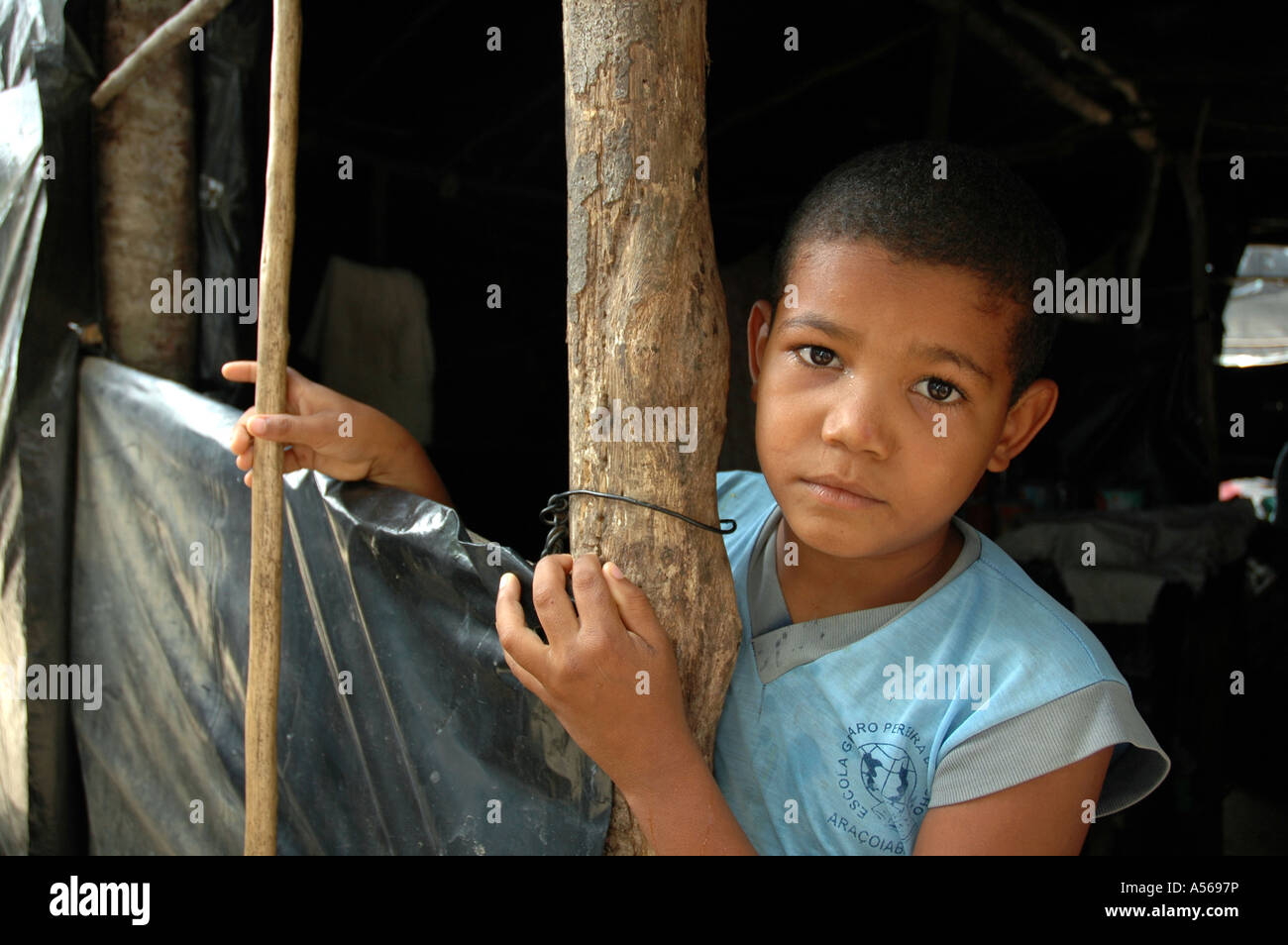 Painet iy8039 brazil boy child kid living squatter settlement ...