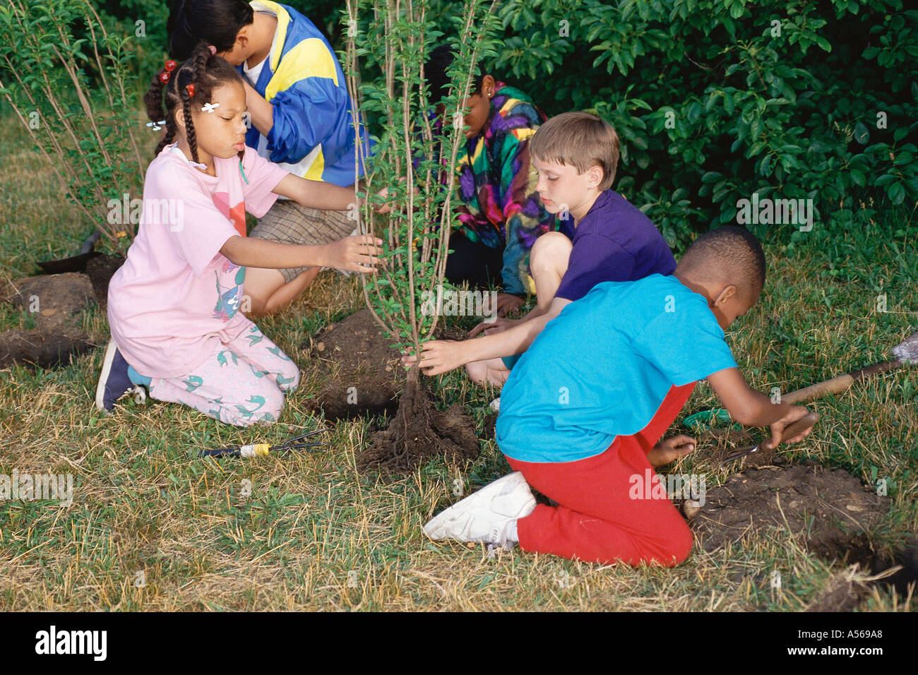 African boy planting tree hi-res stock photography and images - Alamy