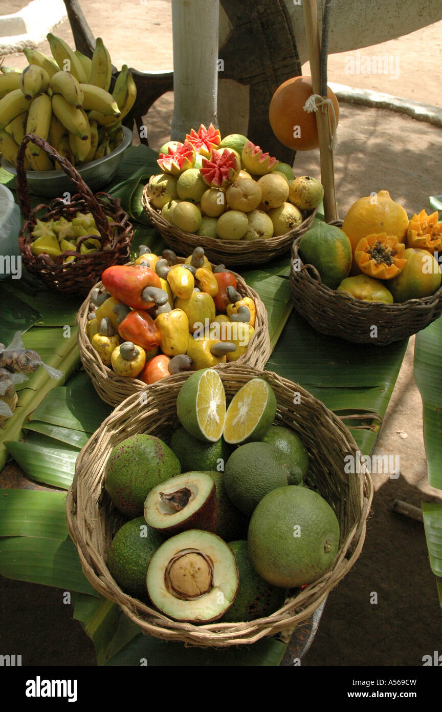 Painet iy8067 brazil tropical vegetables fruits tinbo quilombo ...
