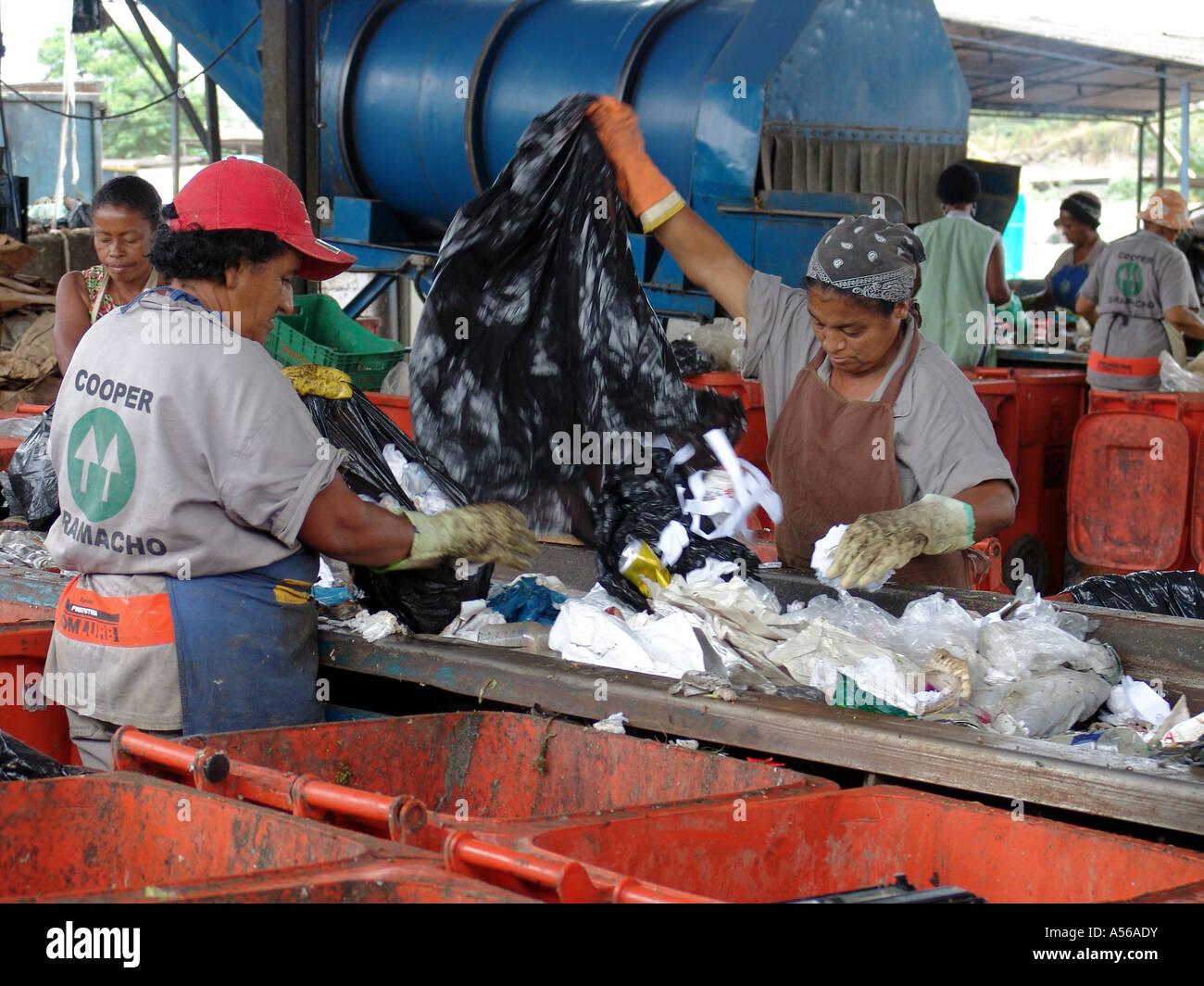 Painet iy8204 brazil registered scavengers picking out recyclable ...