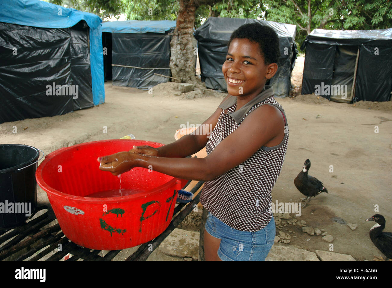 Chico mendes hi-res stock photography and images - Alamy