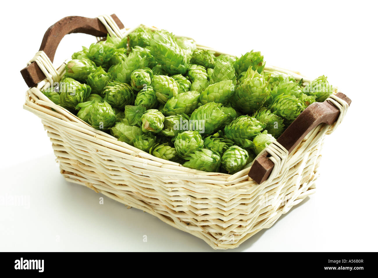 Hop umbels in basket Stock Photo - Alamy