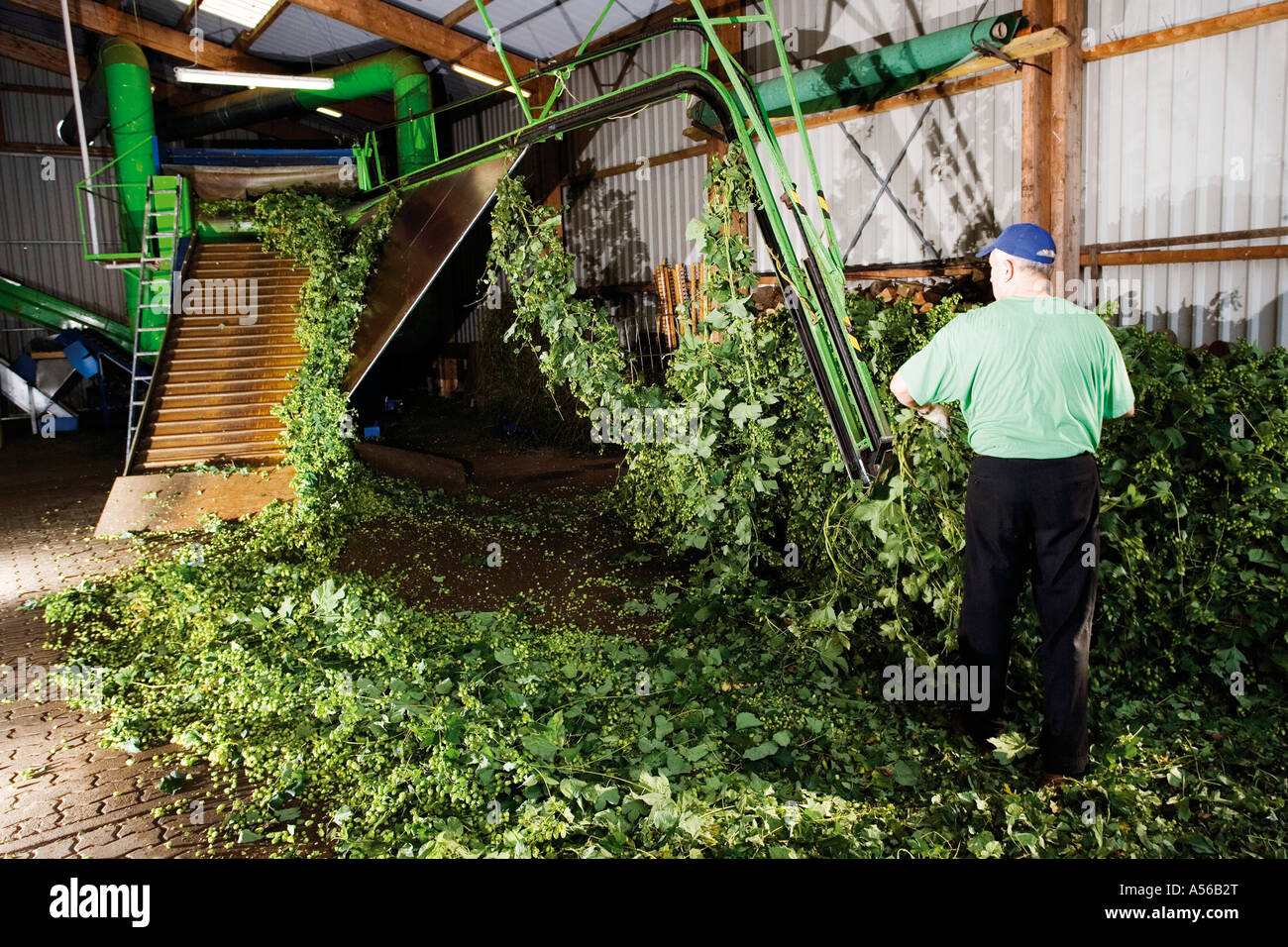 Hop picking machine hi-res stock photography and images - Alamy