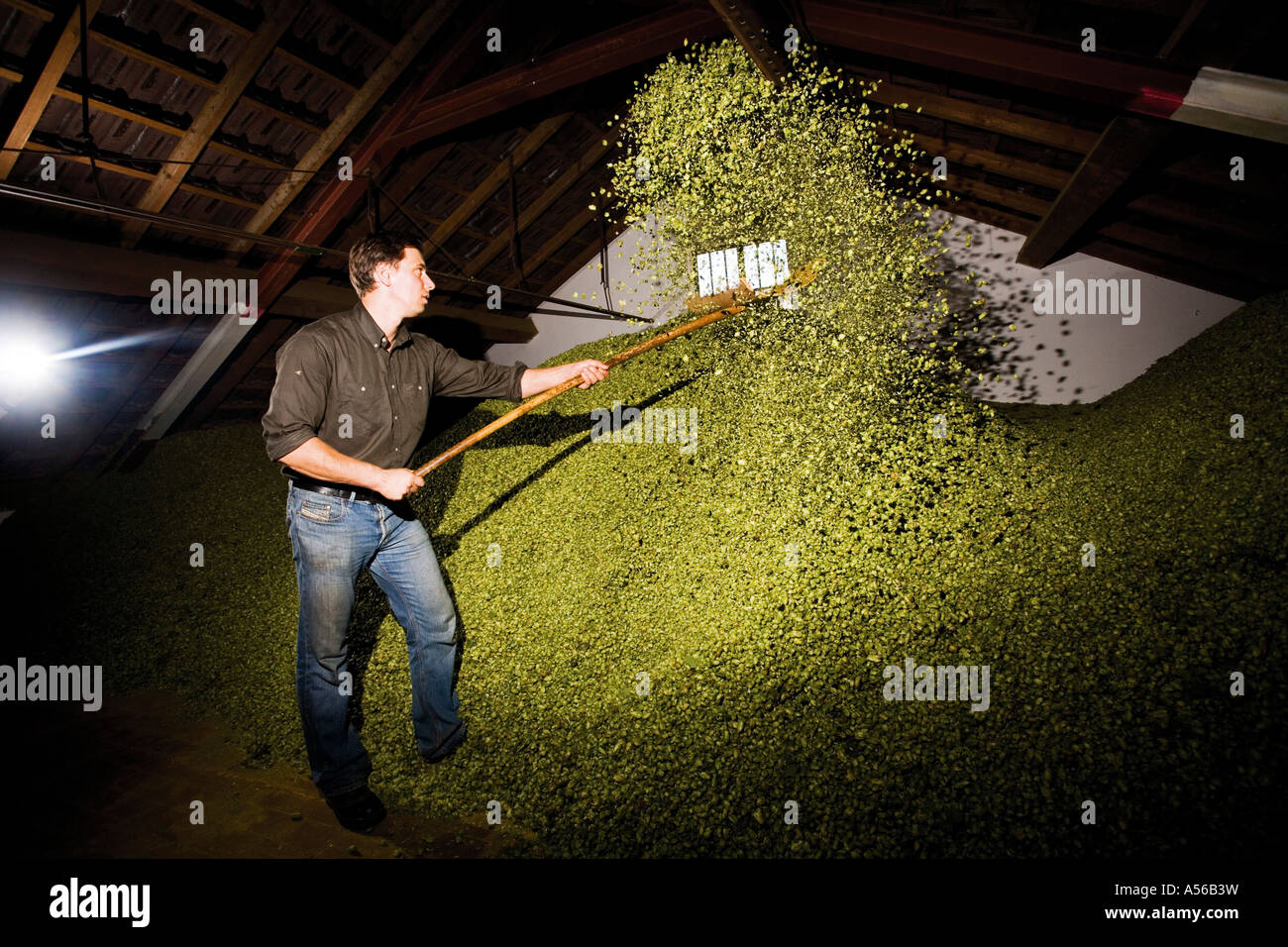 Hop Storage High Resolution Stock Photography and Images - Alamy
