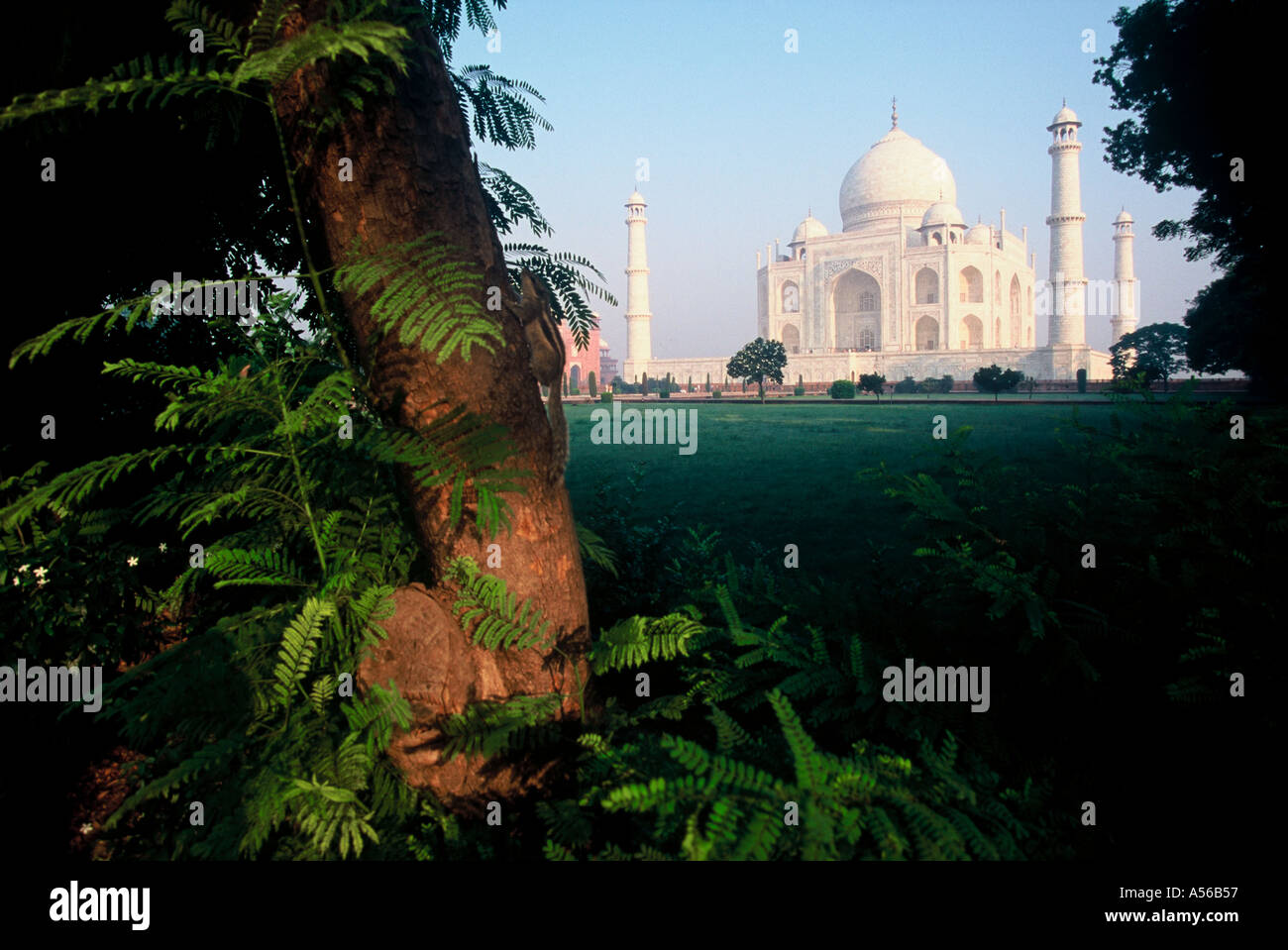 Sun rise over Taj Mahal India Stock Photo - Alamy