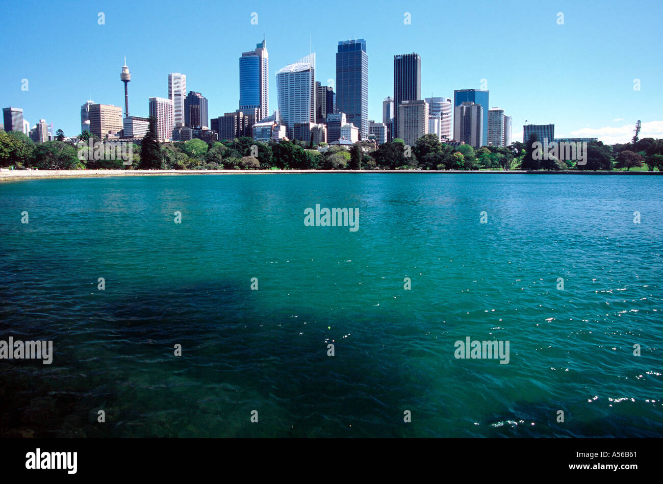 Sydney skyline from The Domain Australia Stock Photo - Alamy