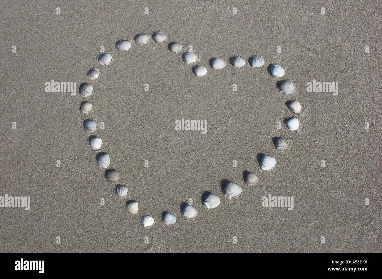 Heart made from sea shells at the beach of the North Sea, Denmark Stock ...