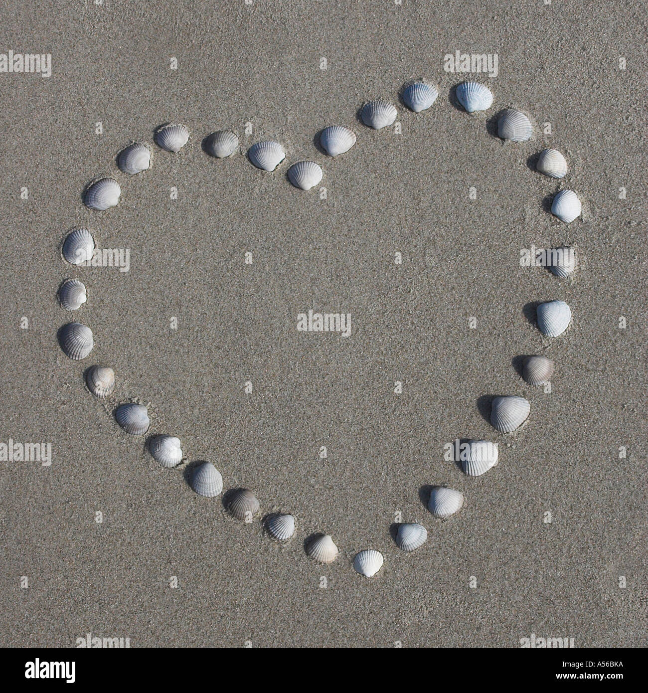 Heart made from sea shells at the beach of the North Sea, Denmark Stock ...