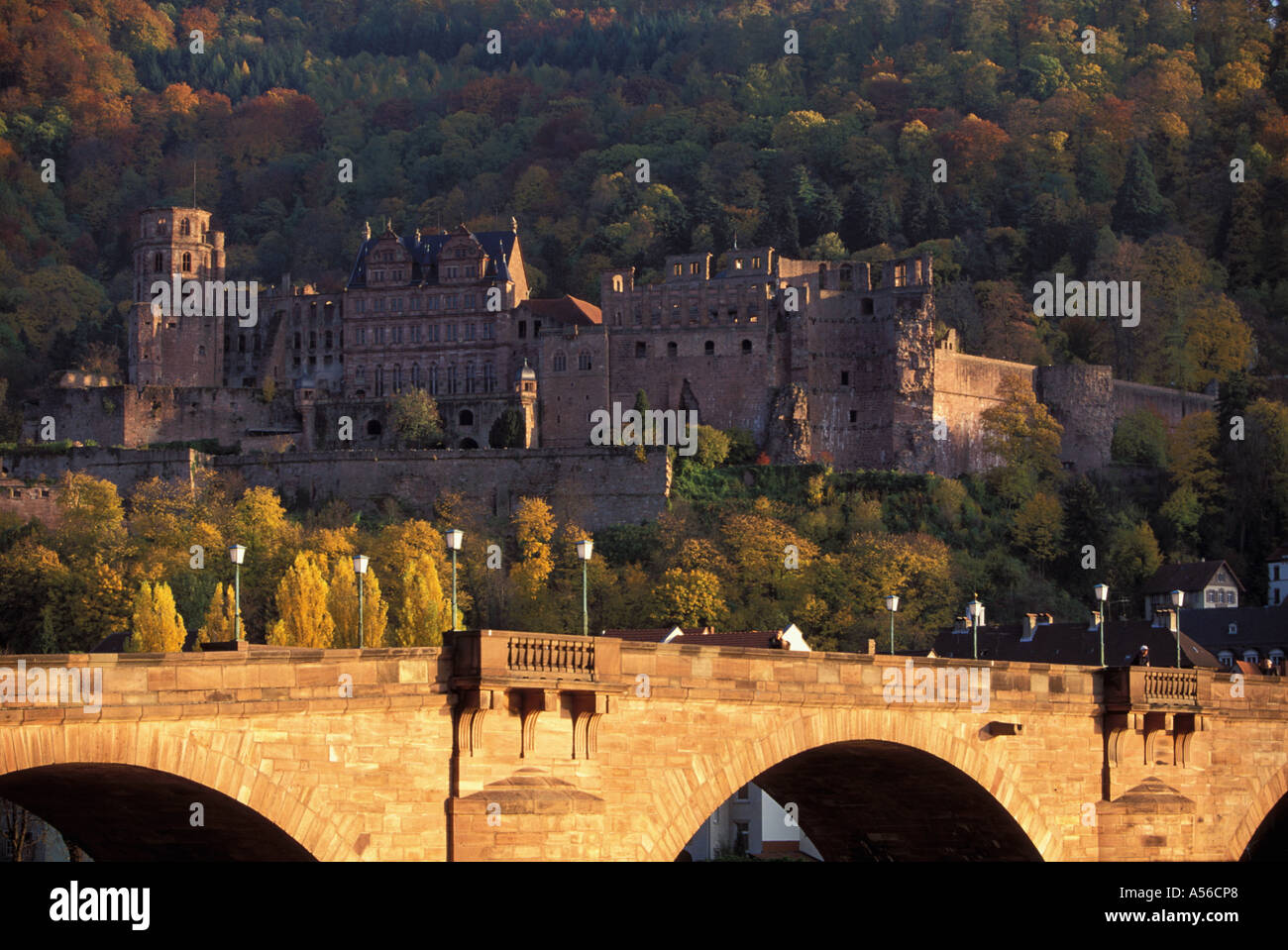 Heidelberg, Germany: romantic castle , one of the most important sights ...