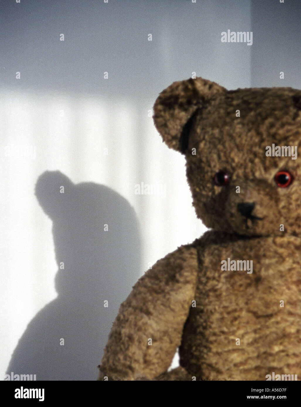Teddy bear and his shadow Stock Photo - Alamy