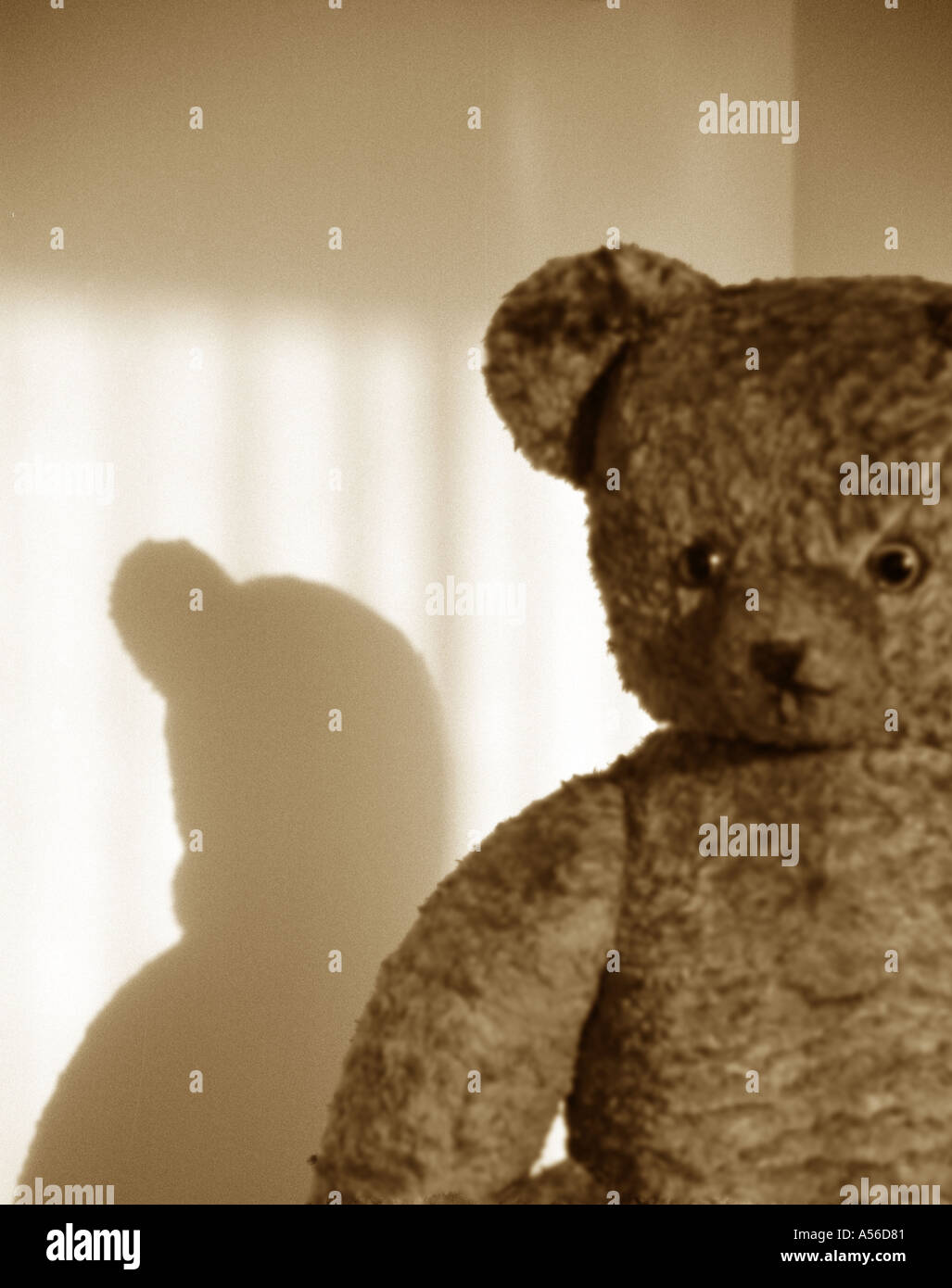 Teddy bear and his shadow Stock Photo - Alamy