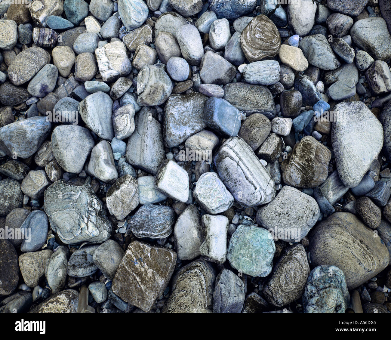Detailed view pebbles on beach hi-res stock photography and images - Alamy
