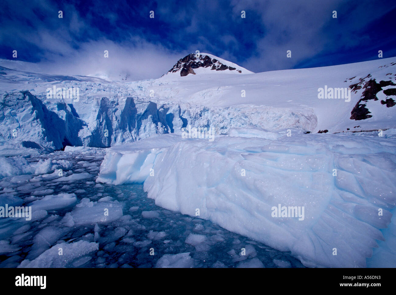 glacier, glaciers, berry bits, granite rock outcrop, continental ...