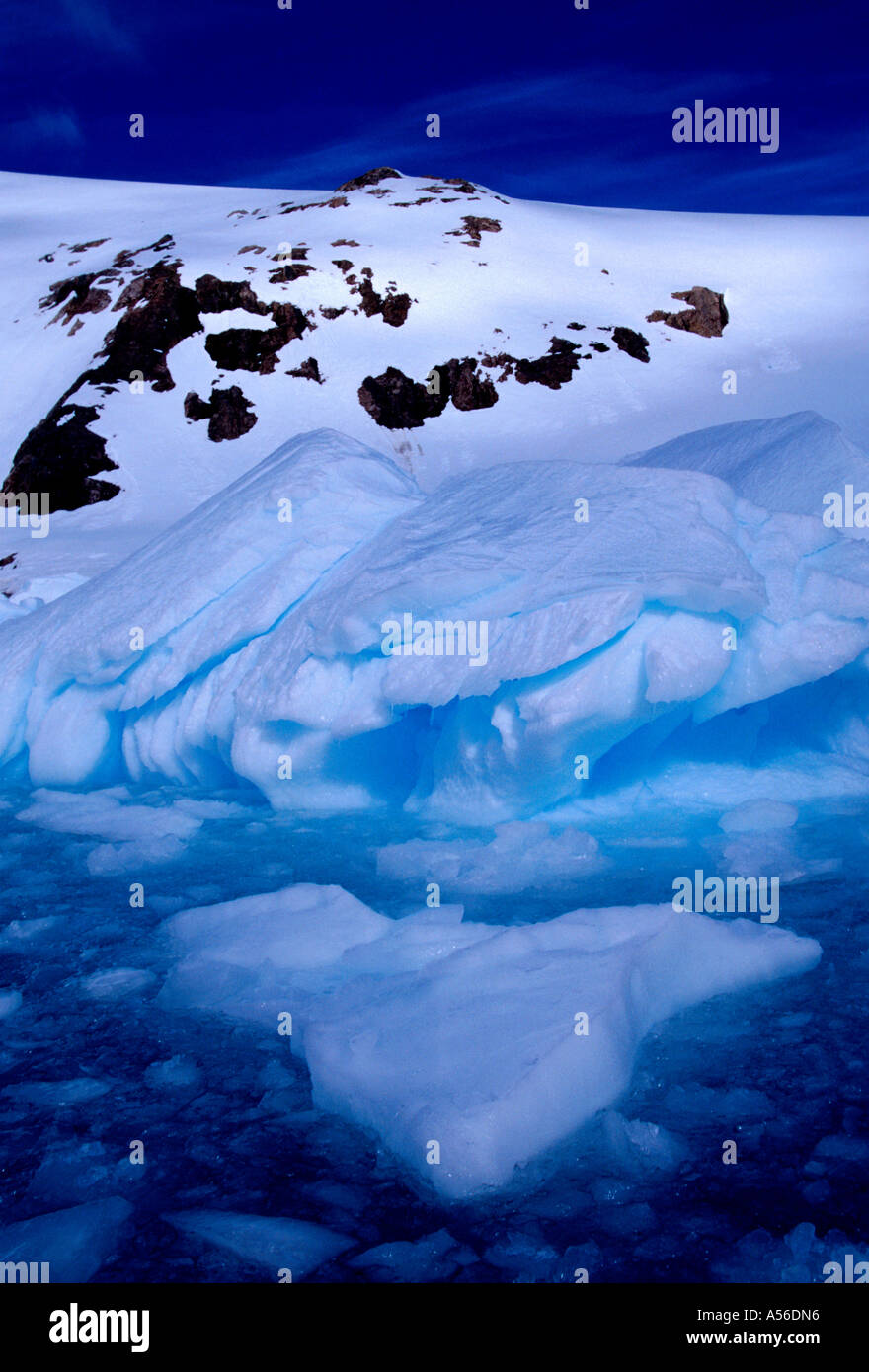 glacier, glaciers, berry bits, granite rock outcrop, continental ...