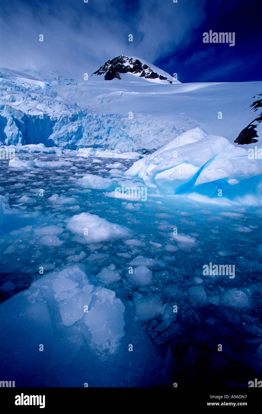 glacier, glaciers, berry bits, granite rock outcrop, continental ...